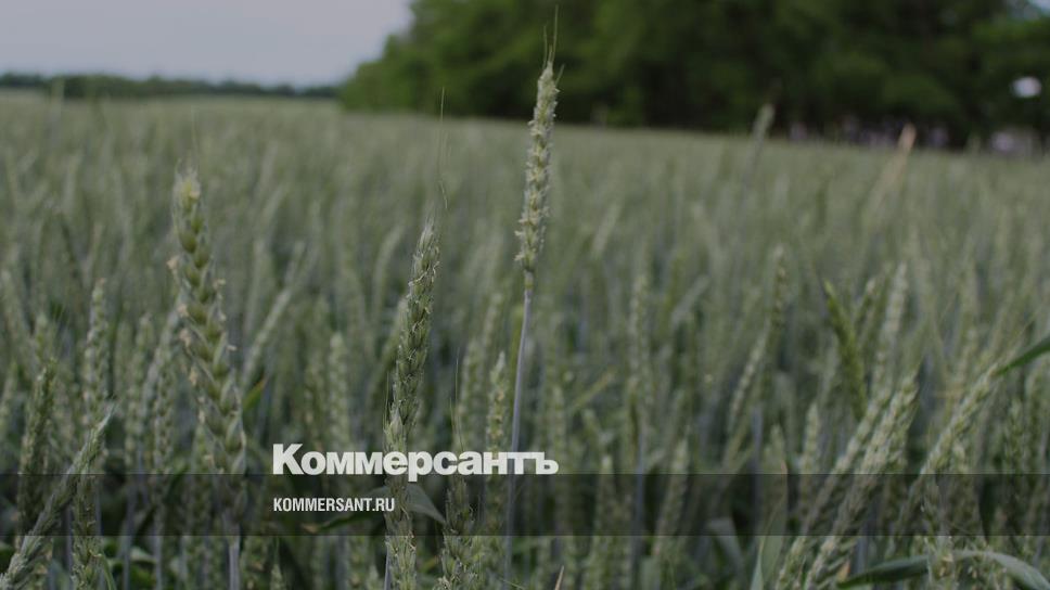 Цены на минеральные удобрения в Краснодарском крае снизились на 7% ...