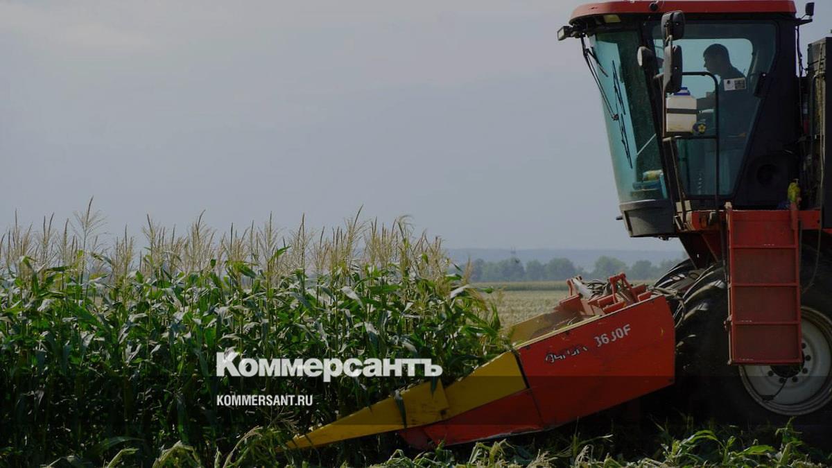 Кубанские ученые предложили делать из рисовой соломы плазму и удобрения ...